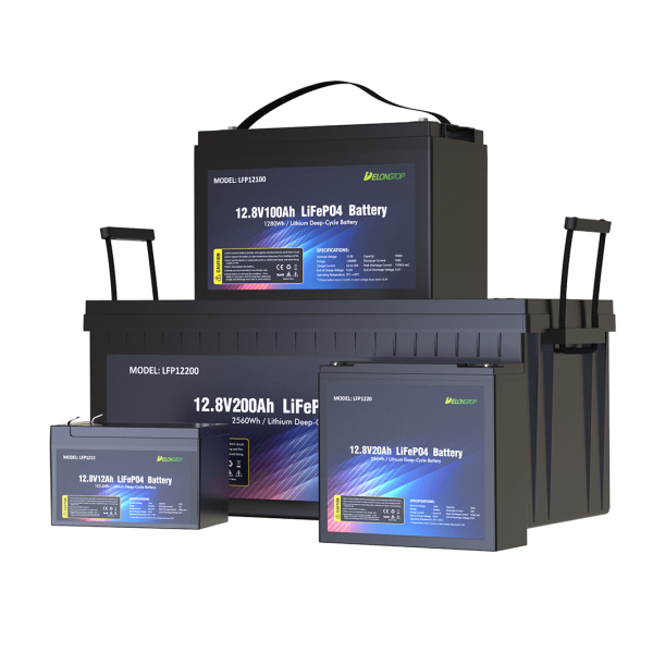 Complete Guide To Understanding Lifepo4 Battery - Delong Energy