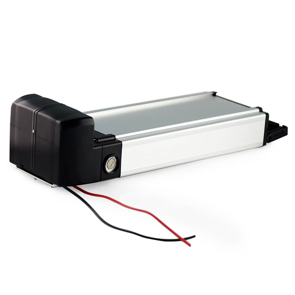 custom ebike battery - Delong Energy