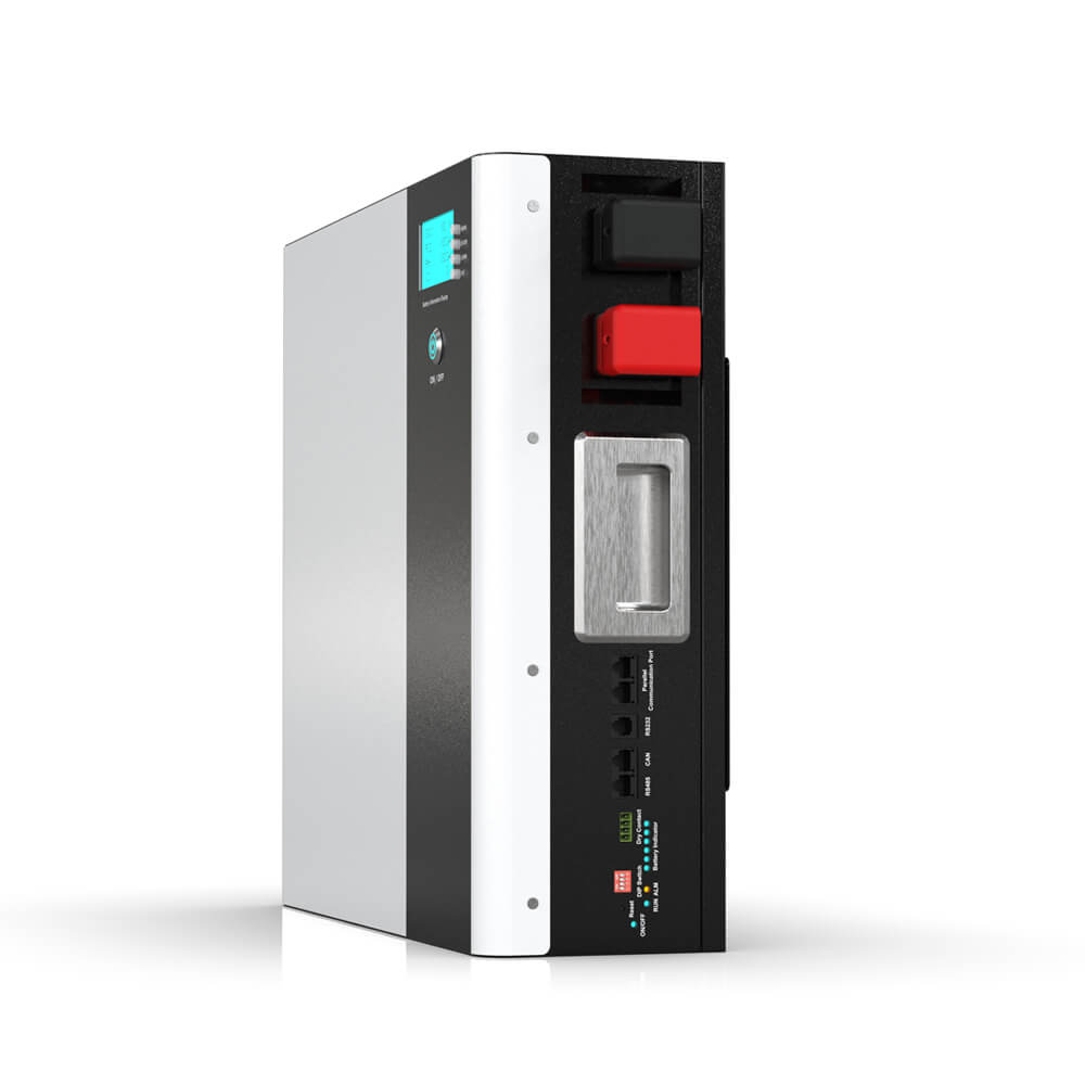 25.6V 100Ah 2.56kwh Wall Mount Lifepo4 Battery ESS DL-LFP25100 - Delong ...